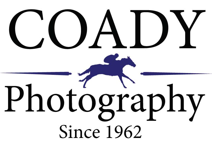 Champion Horses – Coady Media - Kurtis Coady Photography