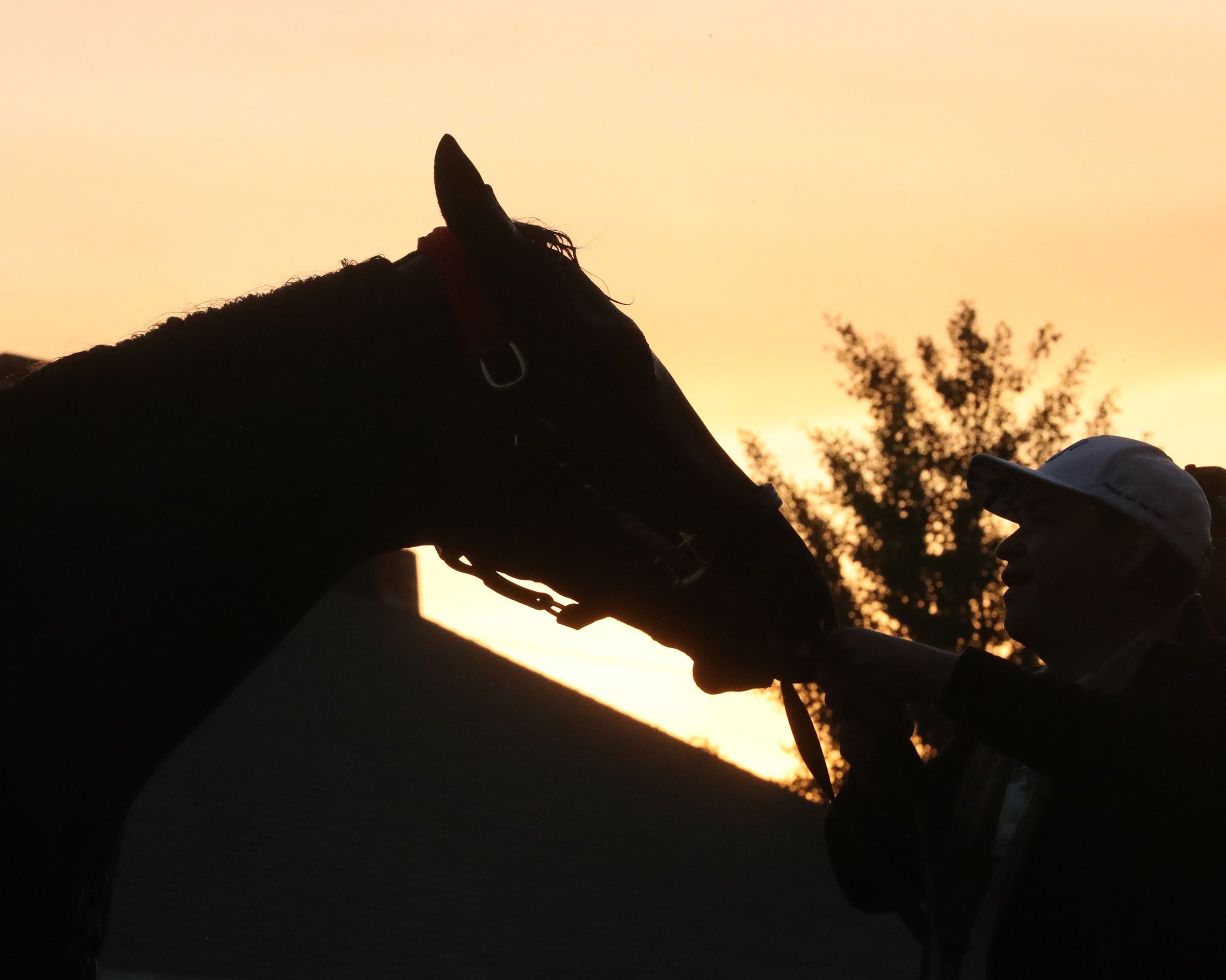 Coady Media - Kurtis Coady Photography LLC